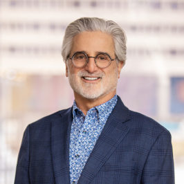 David B. Honig | Hall Render